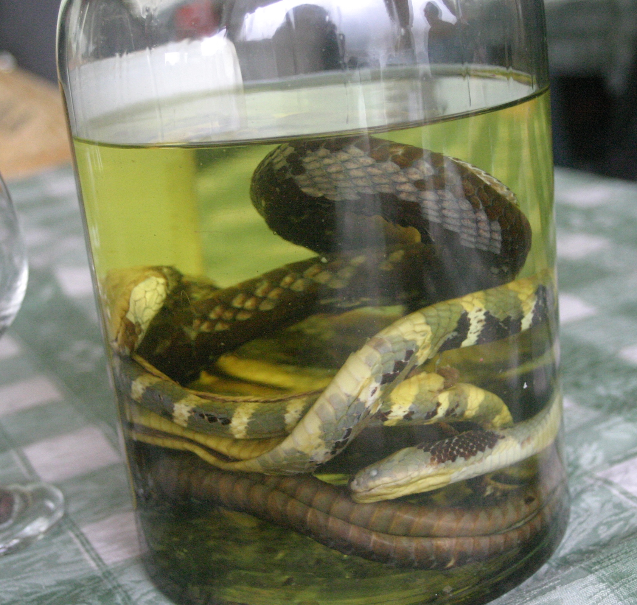 Pao Zhi – Praxis für Naturheilverfahren – Birgit Kriener